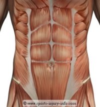 Learn About Lower Abdominal Exercises - Sports Injury Info
